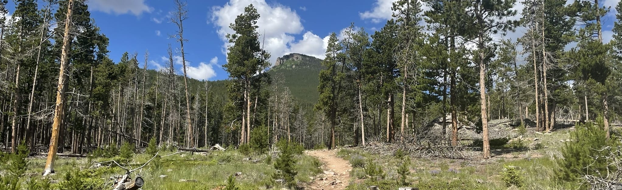 Storm Pass Trail, Colorado - 133 Reviews, Map | AllTrails