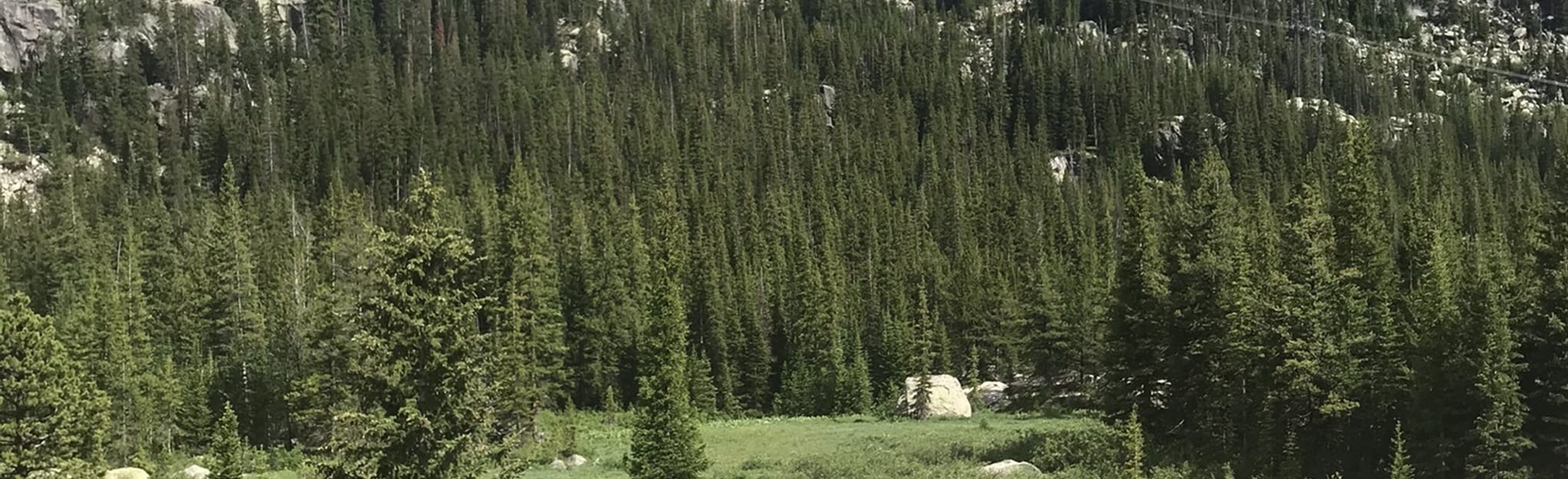 Ivanhoe Creek Trail - Colorado | AllTrails