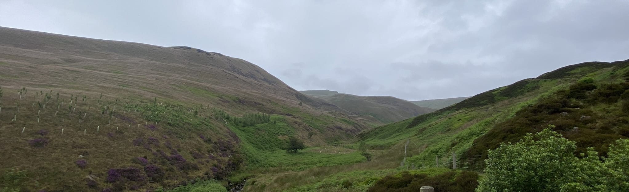 Snake Pass and James's Thorn Circular: 37 Reviews, Map - Derbyshire ...