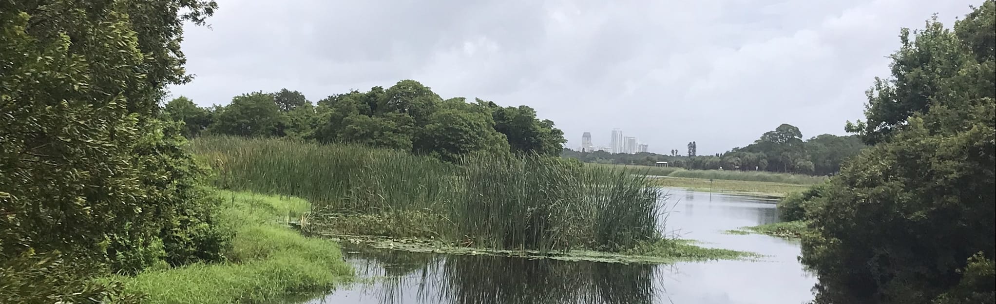 Main and Lakeside Trail Loop, Florida - 318 Reviews, Map | AllTrails