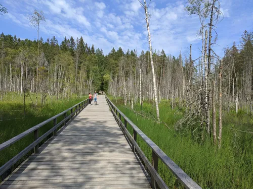 10 Best Hikes and Trails in Tyresta National Park | AllTrails