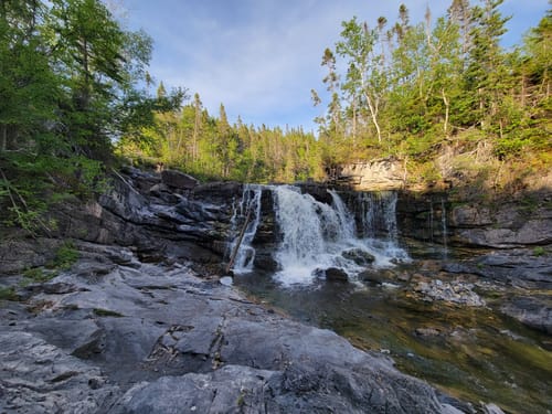 2023 Best 10 Trails and Hikes in Corner Brook | AllTrails