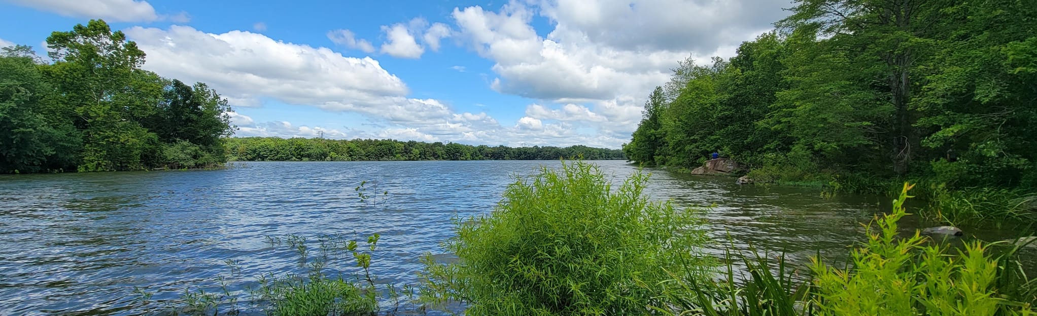 Beaverdam Reservoir Trail, Virginia - 736 Reviews, Map | AllTrails