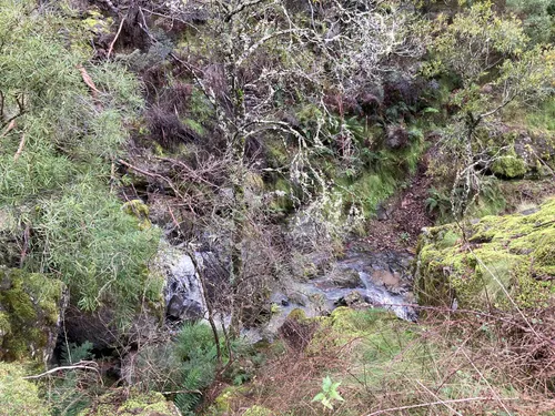 Best Hikes and Trails in Bondo State Forest | AllTrails