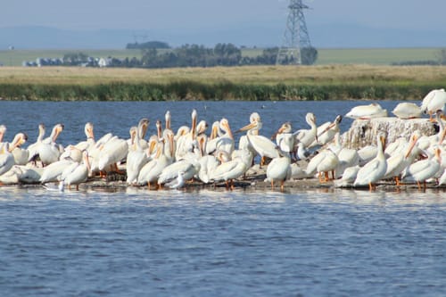 Best Hikes and Trails in Frank Lake Conservation Area | AllTrails