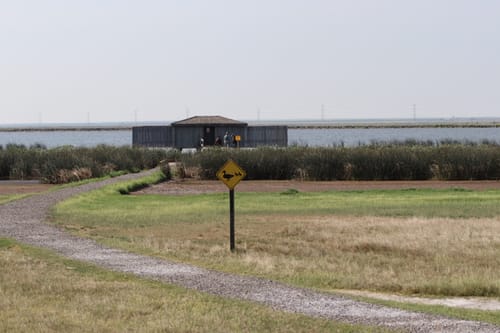 Best Hikes and Trails in Frank Lake Conservation Area | AllTrails
