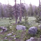 Morat and Blue Lakes, Utah - 207 Reviews, Map | AllTrails