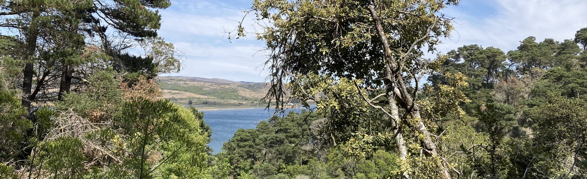 Shell Beach Trail: 82 Reviews, Map - California | AllTrails