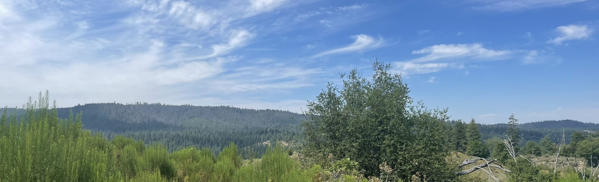 Long Gulch Ridge Loop: 151 Reviews, Map - California | AllTrails