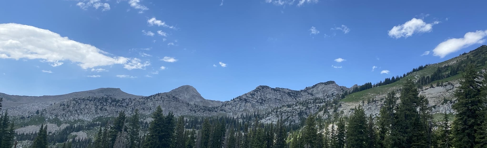 Box Elder Peak via Deer Creek-Dry Creek Trail, Utah - 313 Reviews, Map ...