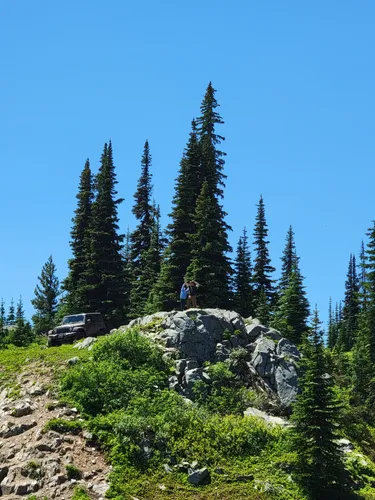 Best Hikes and Trails in Allenby | AllTrails