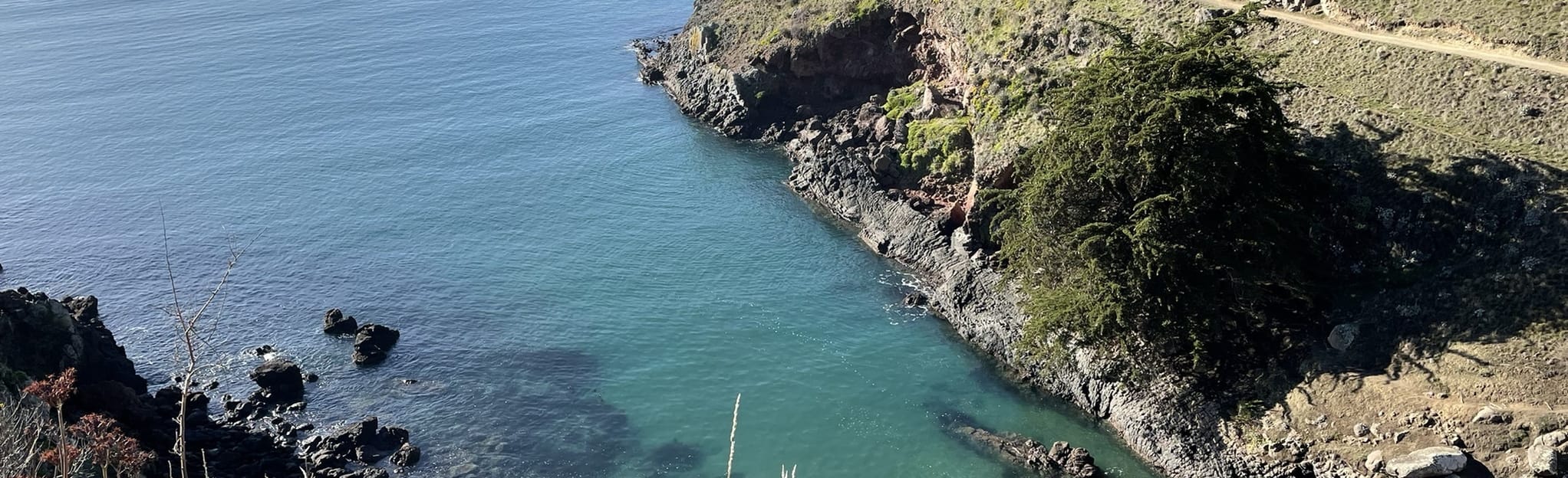 Awaroa/Godley Head Loop Track: 183 Reviews, Map - Canterbury, New ...