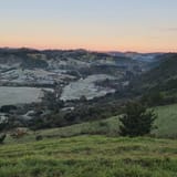 Puhoi Lookout Track, Auckland, New Zealand - 64 Reviews, Map | AllTrails