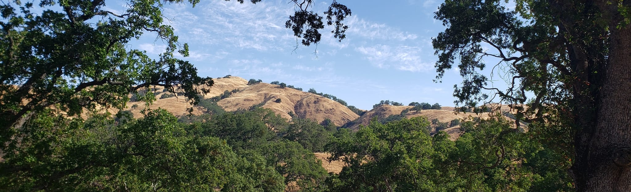 Grant Ranch and Antler Point Extended Loop: 130 Reviews, Map ...