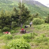 Johnson Pass, Alaska - 92 Reviews, Map | AllTrails