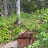 Johnson Pass, Alaska - 92 Reviews, Map | AllTrails