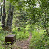 Johnson Pass, Alaska - 92 Reviews, Map | AllTrails
