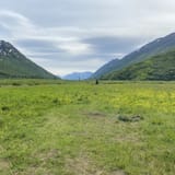 Johnson Pass, Alaska - 90 Reviews, Map | AllTrails