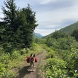 Johnson Pass, Alaska - 88 Reviews, Map | AllTrails