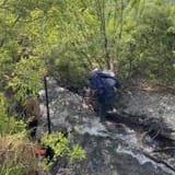 Johnson Pass, Alaska - 92 Reviews, Map | AllTrails