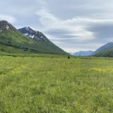 Johnson Pass, Alaska - 88 Reviews, Map | AllTrails