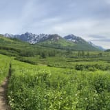 Johnson Pass, Alaska - 88 Reviews, Map | AllTrails
