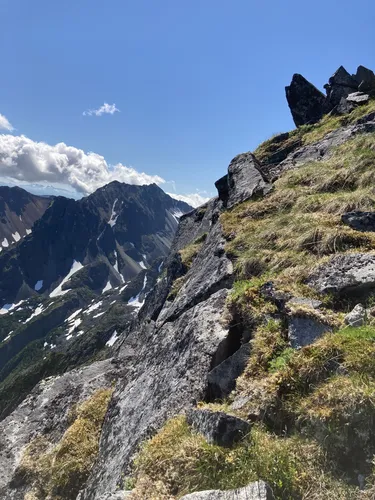 2023 Best Forest Trails in New Hazelton | AllTrails