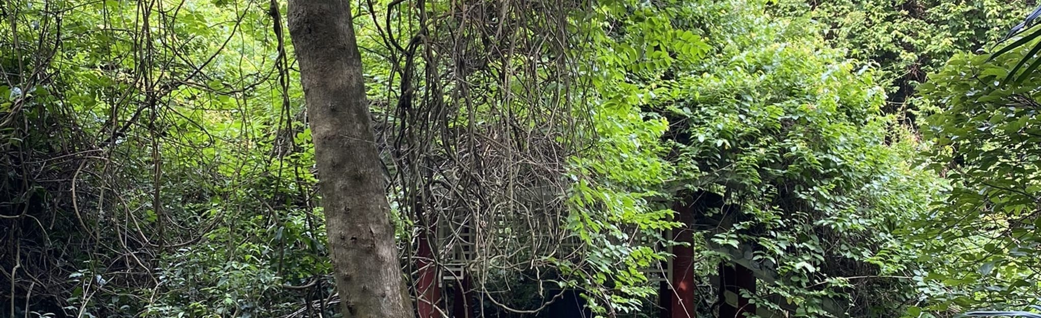 Guangzhou Forest of Stone Tablets: 7 Reviews, Map - Guangdong, China ...