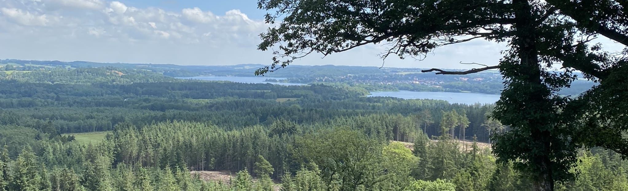 Frankrig - Himmelbjerget: 459 fotos - Central Denmark, Dinamarca ...