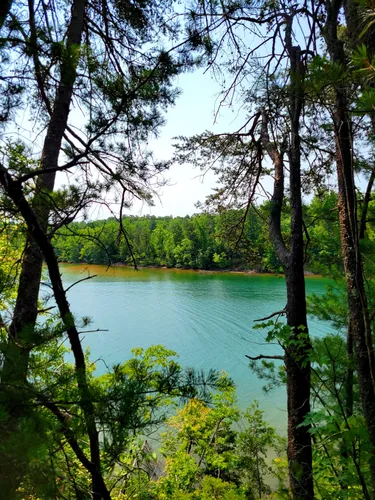 10 Best Hikes and Trails in Lake James State Park | AllTrails
