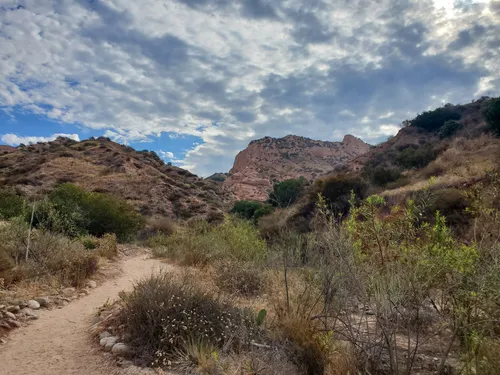 10 Best Hikes and Trails in Whiting Ranch Wilderness Park | AllTrails