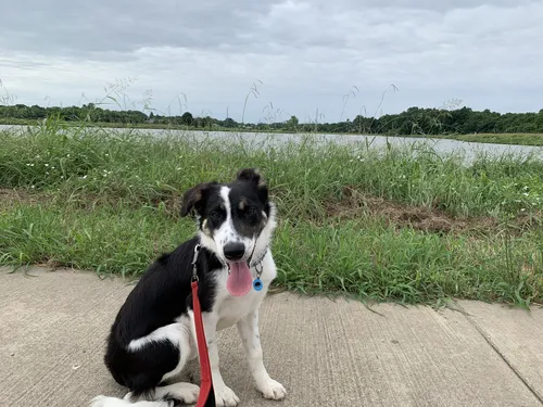 Best Hikes and Trails in Springfield Park | AllTrails