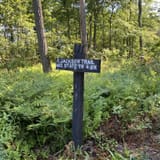 Jackson Trail, Pennsylvania - 196 Reviews, Map | AllTrails