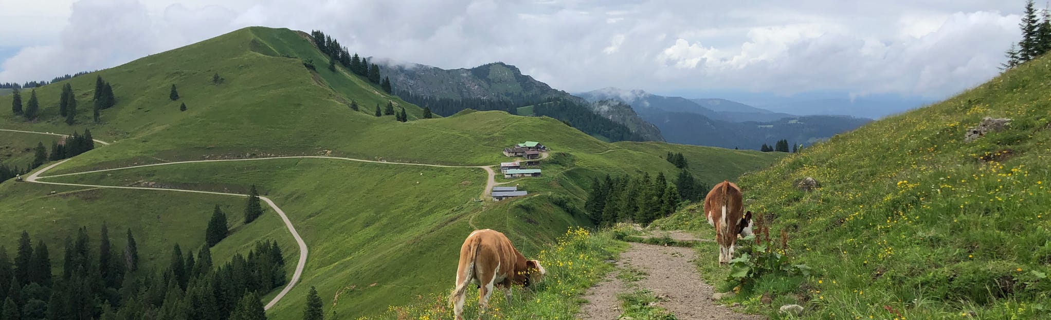 Von der Weißach zur Tegernseer Hütte: 7 Reviews, Map - Bavaria, Germany ...