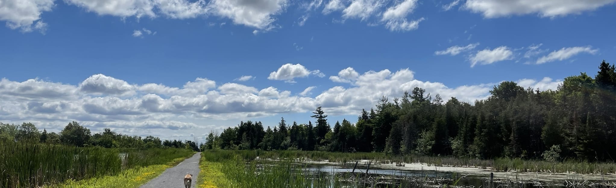AllTrails | Rideau Lowlands: K&P Trail to Cataraqui Trail: 23 Reviews ...