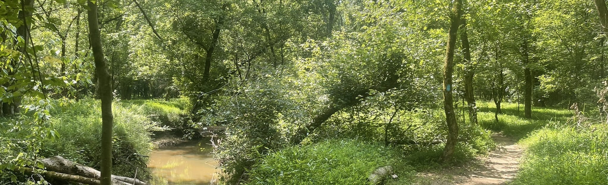 The Ridge Nature Area Loop, Georgia - 1,190 Reviews, Map | AllTrails