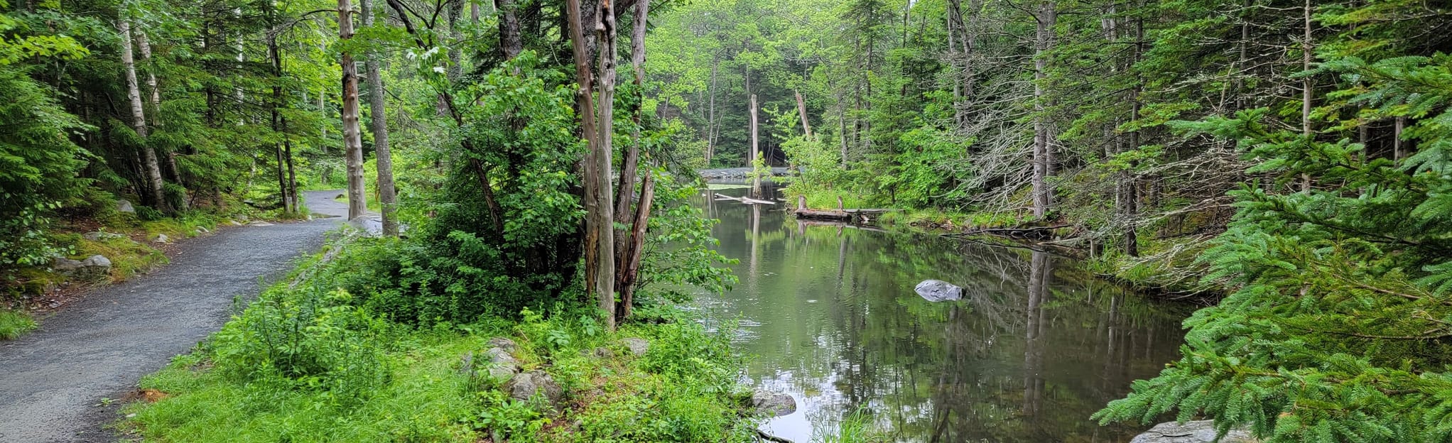 Shubie Park (Full Loop), Nova Scotia, Canada - 391 Reviews, Map | AllTrails