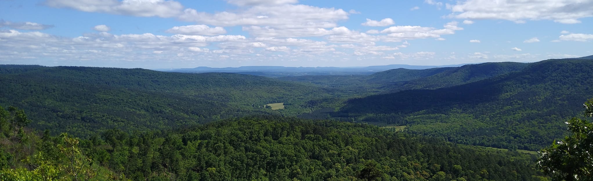 Arkansas Sphinx Trail: 124 Reviews, Map - Arkansas | AllTrails