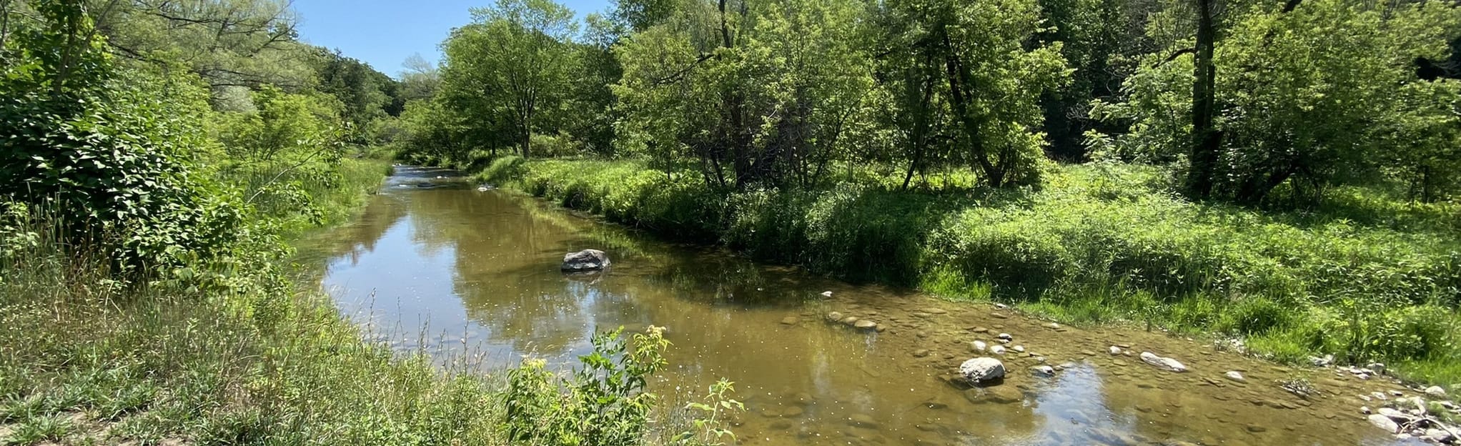 Tanglewood Trail: 641 Reviews, Map - Ontario, Canada | AllTrails