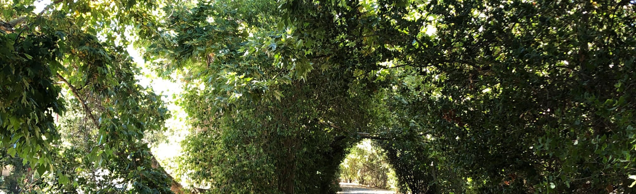 Los Alamitos Creek Trail and Calero Creek Trail, California - 65 ...