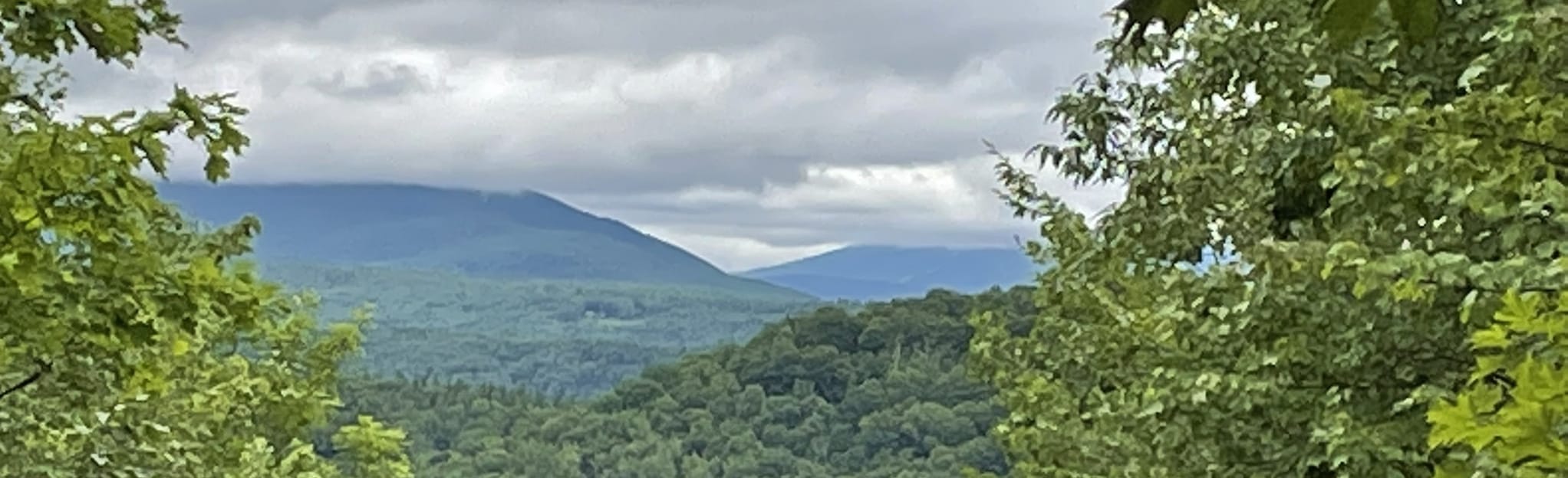 Butternut Hill Loop, Vermont - 202 Reviews, Map | AllTrails