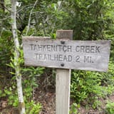 Tahkenitch Creek Trail, Oregon - 151 Reviews, Map | AllTrails