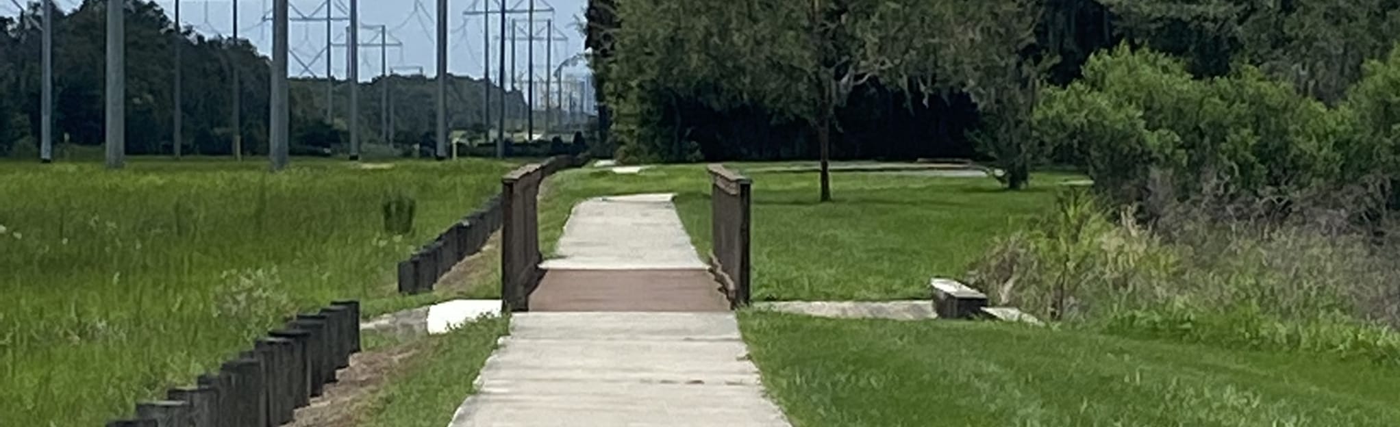 Fishhawk Park Trail - Florida | AllTrails