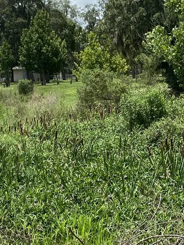 Best Hikes and Trails in Fishhawk Sports Complex Park | AllTrails