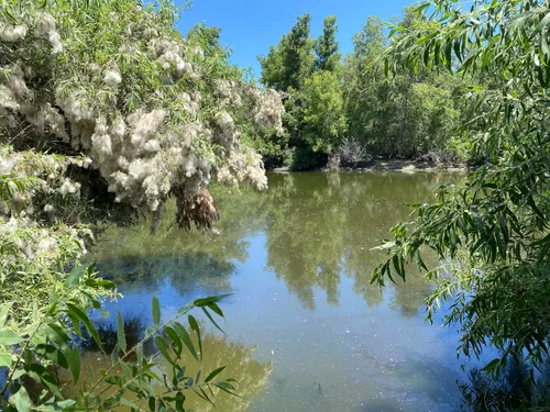 10 Best Trails and Hikes in Fallbrook | AllTrails