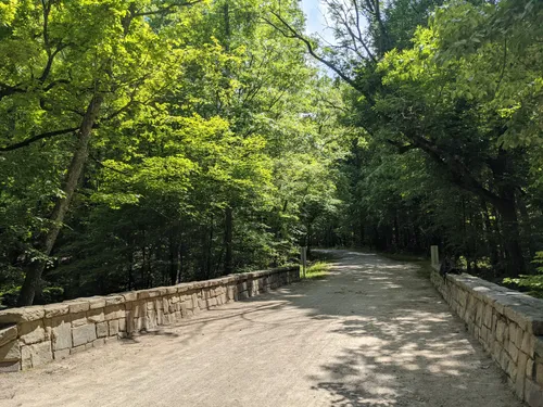 10 Best Hikes and Trails in William B. Umstead State Park | AllTrails