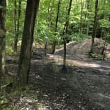 AOAA Green Trails Loop, Pennsylvania - 25 Reviews, Map | AllTrails
