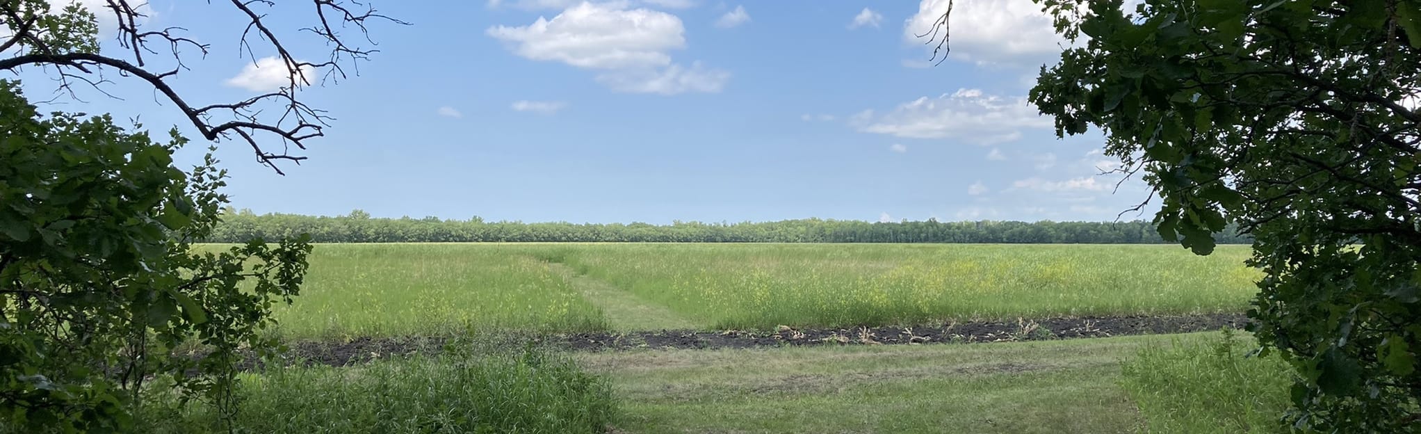 Beaudry Central Short Loop: 8 Reviews, Map - Manitoba, Canada | AllTrails