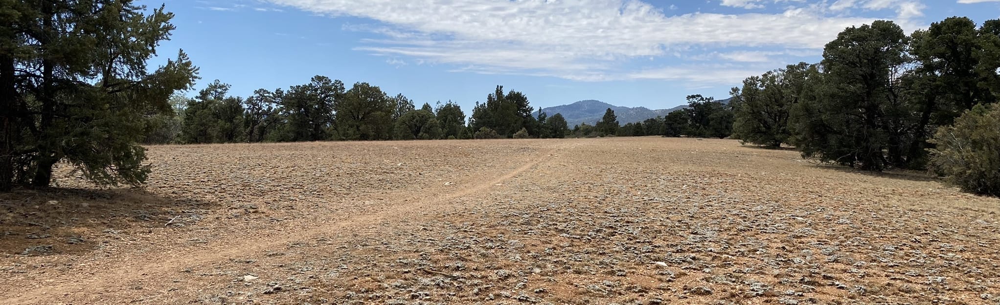 Sawmill Pebble Plain via Travertine, California - 83 Reviews, Map ...