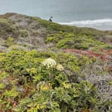 Muir Beach to Point Bonita Lighthouse, California - 162 Reviews, Map ...